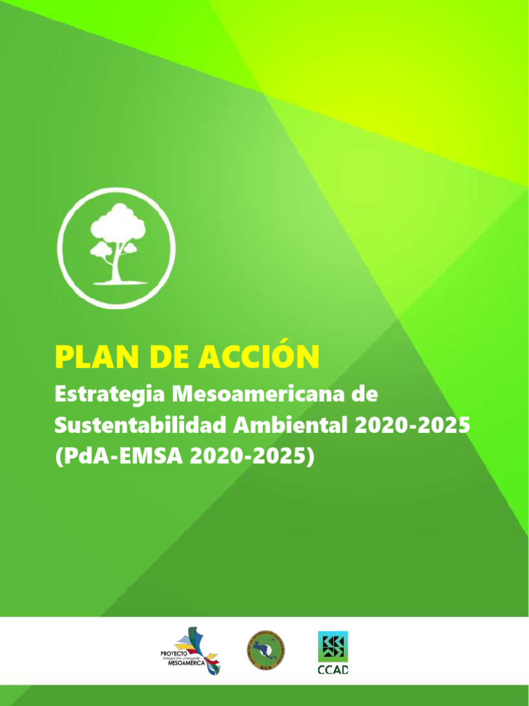 Plan de Acción EMSA_2020-2025 | PDF