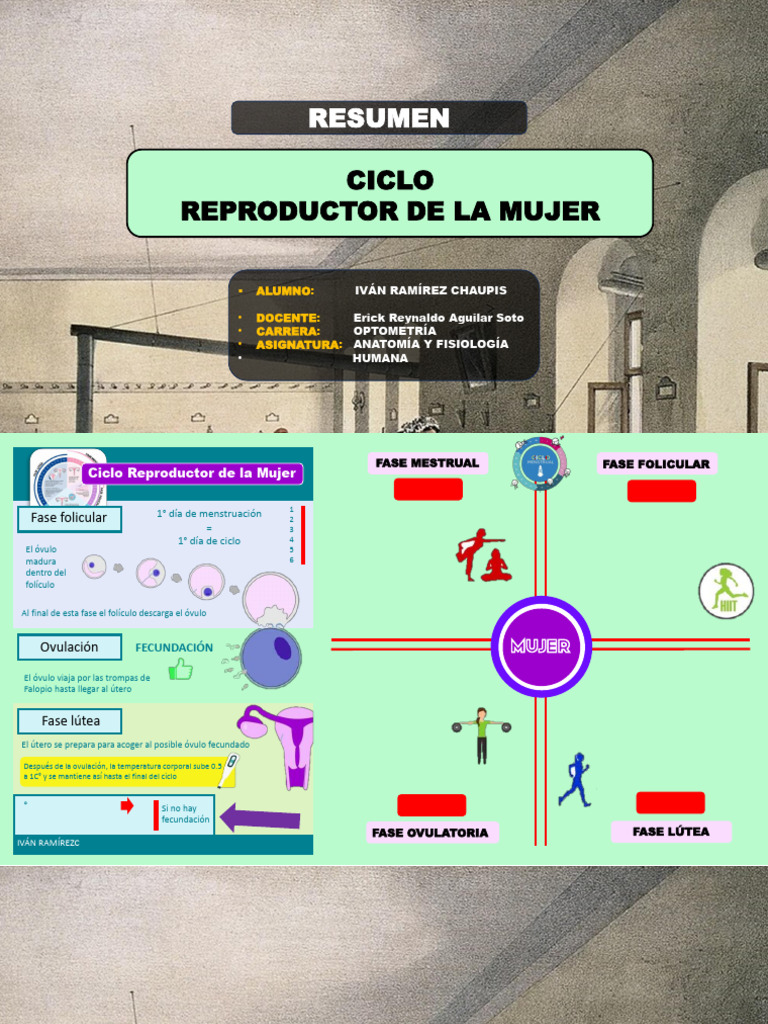 Ciclo Reproductor de La Mujer PDF | PDF