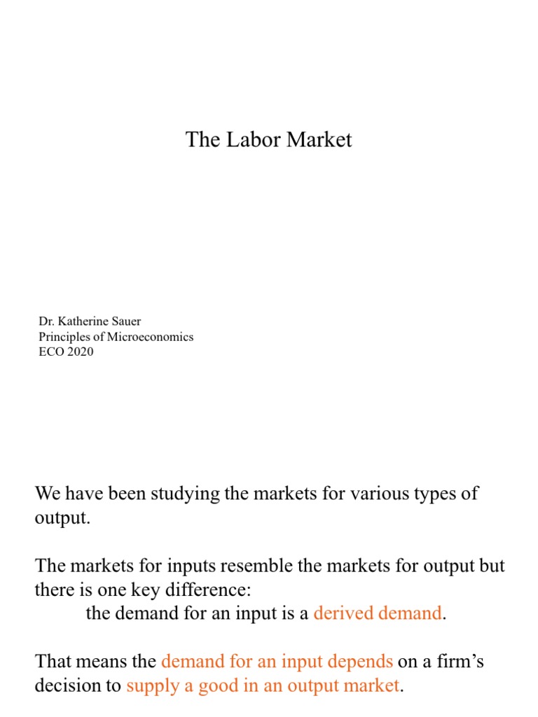 Principles of Microeconomics - Labor Market | PDF