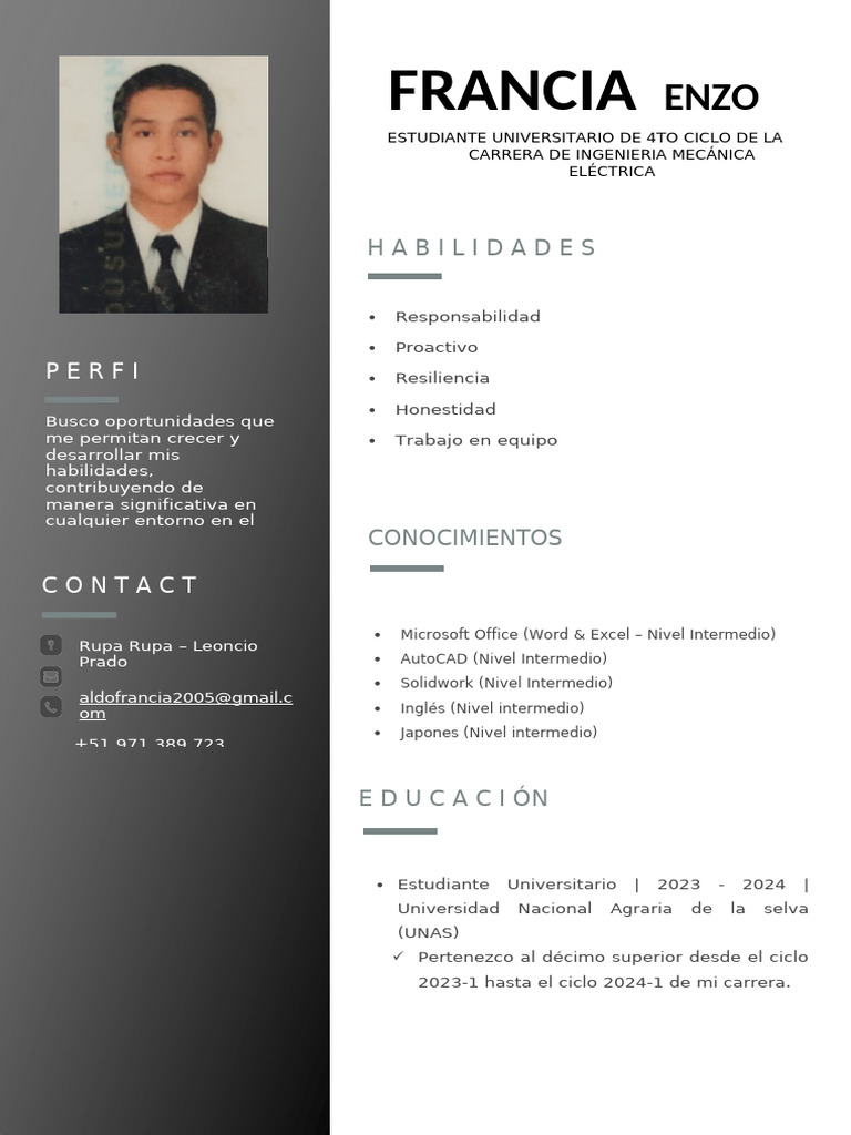 CV - Enzo Francia | PDF