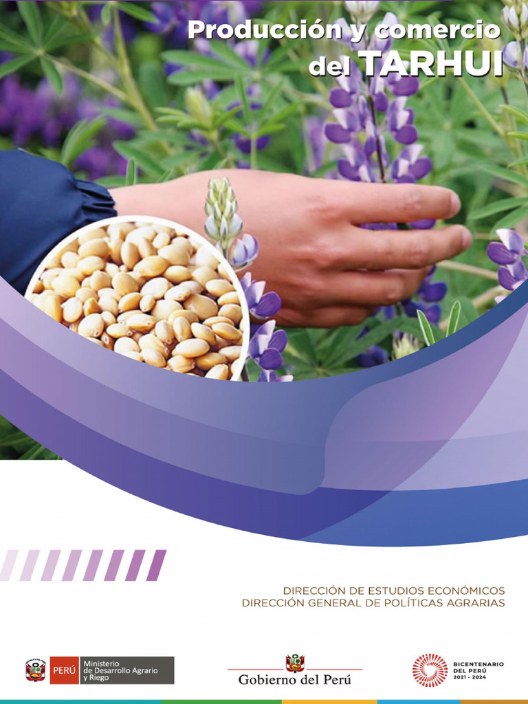 Producción y Comercio Del Tarhui | PDF