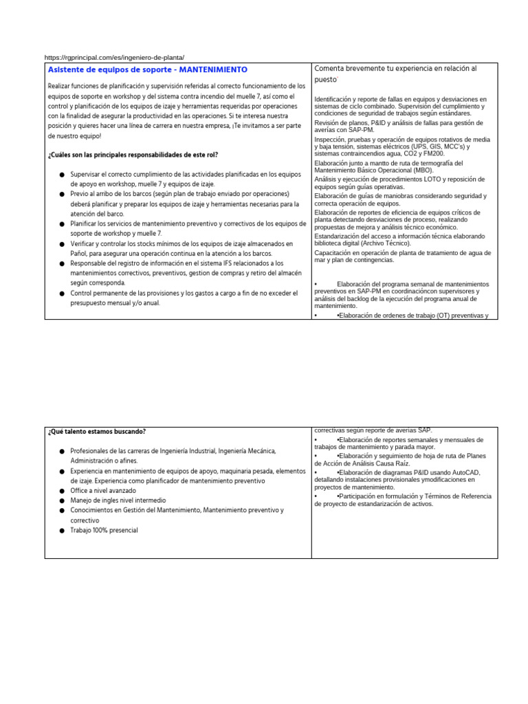 Asistente de Equipos de Soporte | PDF