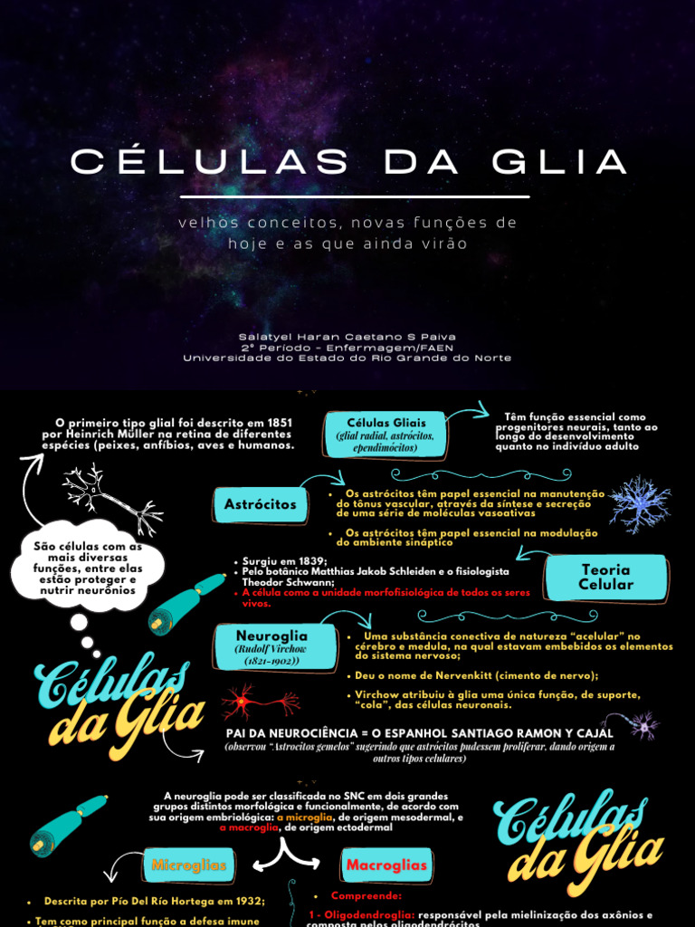 MAPA MENTAL - DESENVOLVIMENTO (Células Da Glia) | PDF