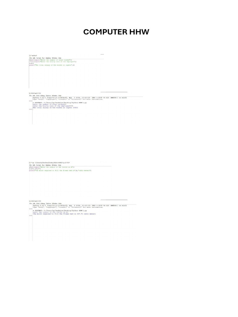 Computer HHW: Ques | PDF