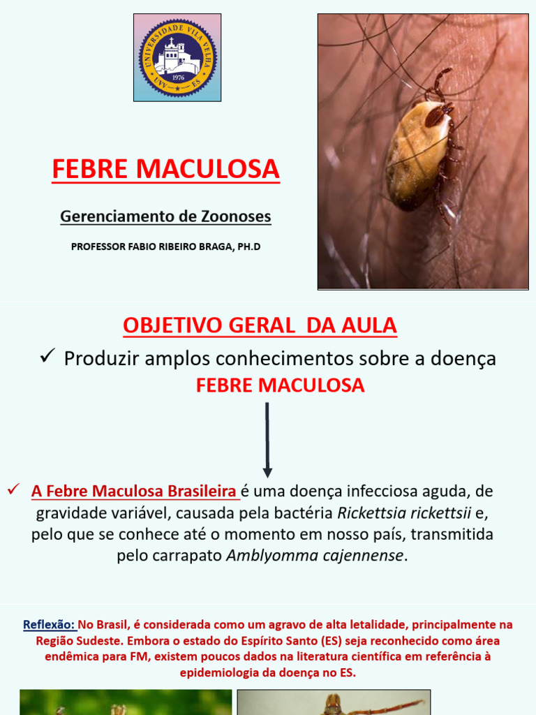 Febre Maculosa | PDF | Especialidades Medicas | Medicina CLINICA