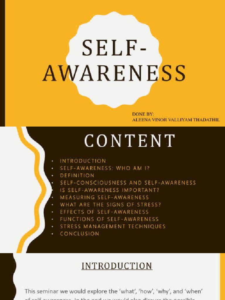 Self Awareness | PDF