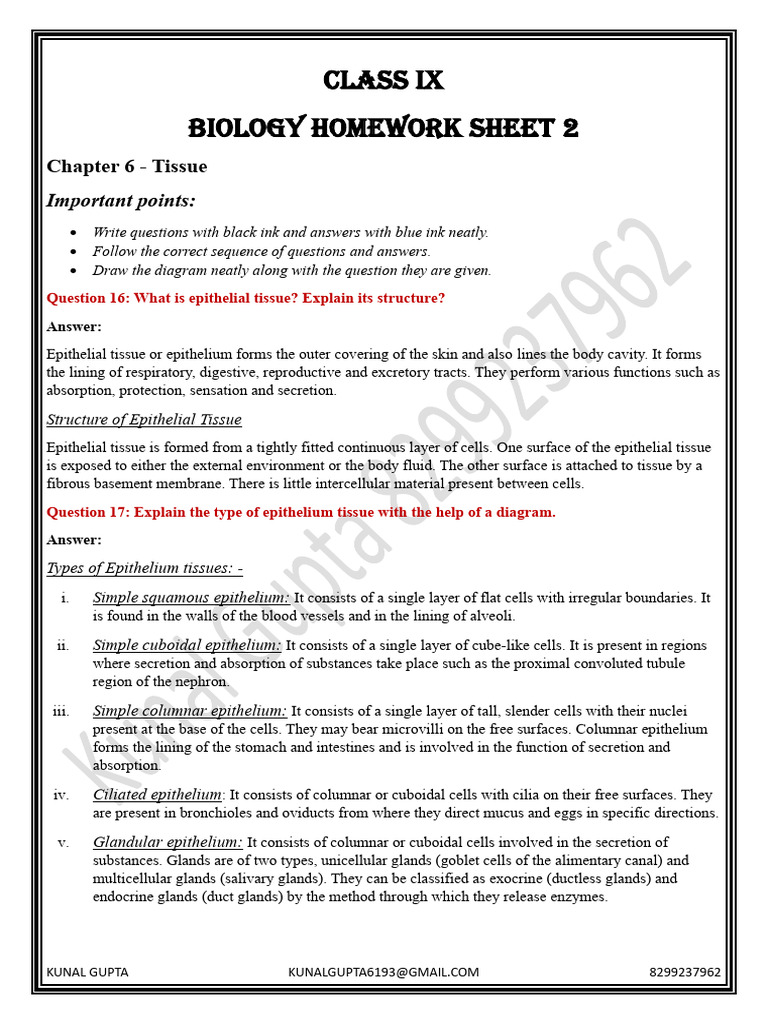 CLASS IX BIOLOGY Chapter 6 - Tissue - HOMEWORK SHEET 2 | PDF