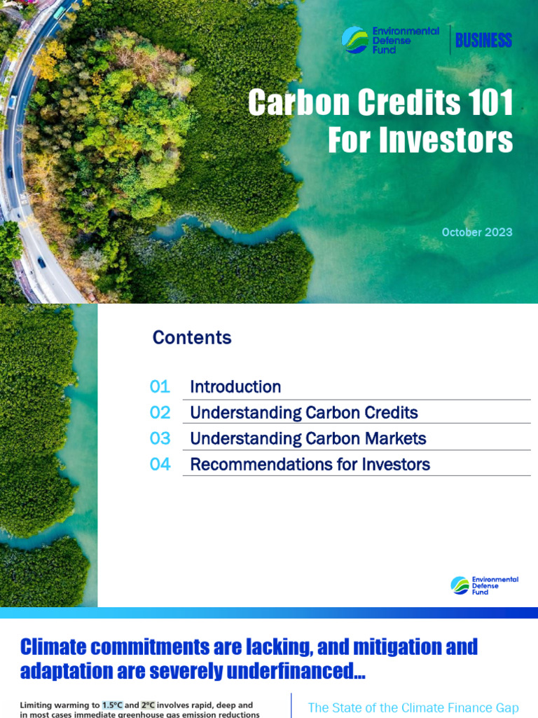 Carbon Credits 101 For Investors | PDF