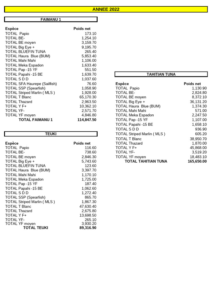 Ann e 2022 PDF
