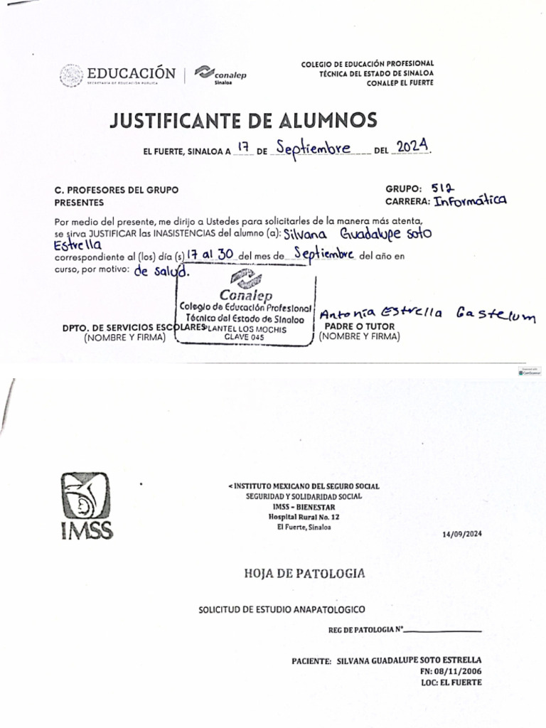 Justificante Silvana Guadalupe Soto Estr | PDF