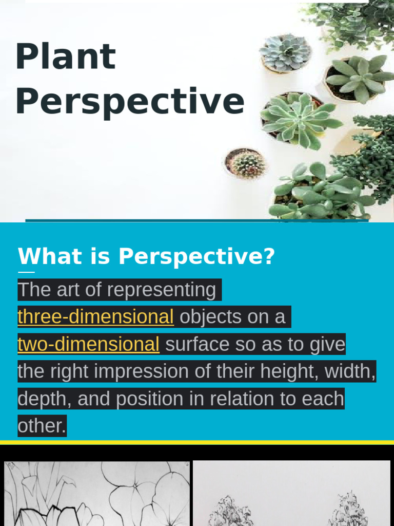 Plant Perspective | PDF