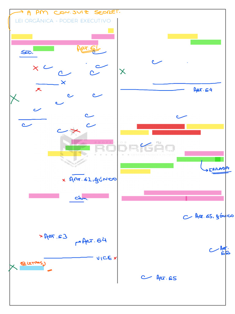 Questões - Poder Executivo - Aula | PDF