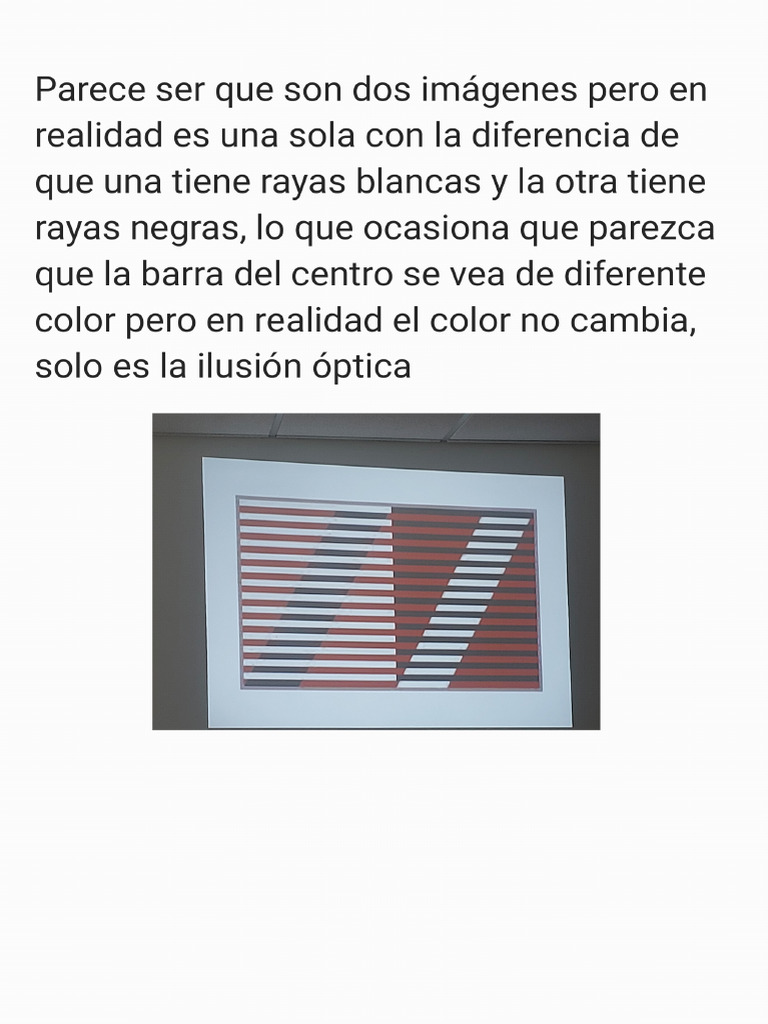 Práctica Ilusiones 240421 090625 | PDF