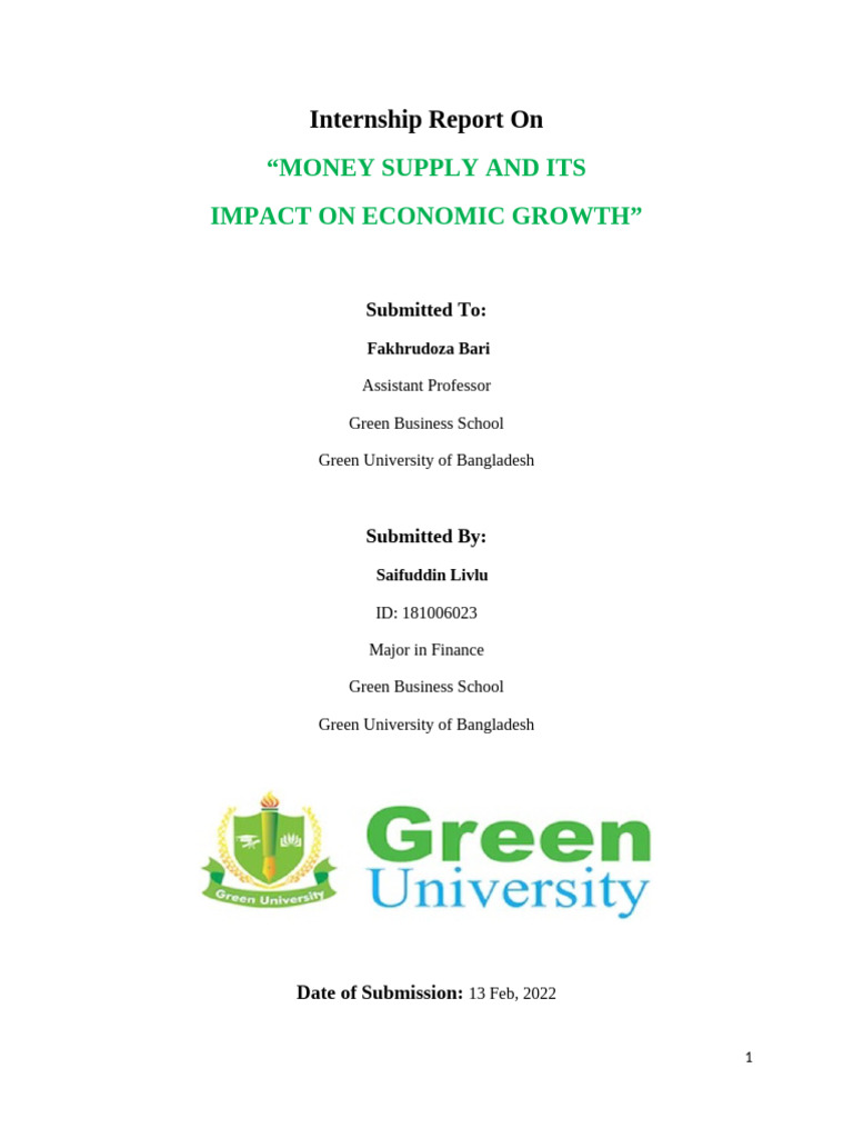 Finance Intern Report | PDF