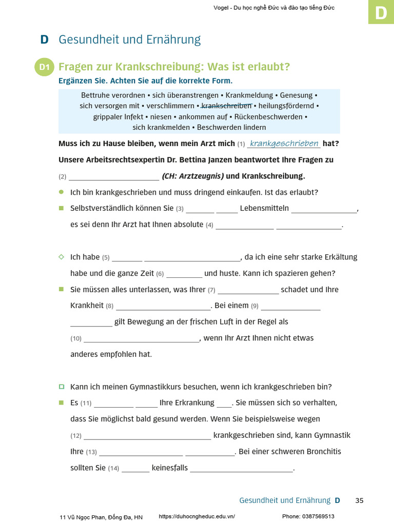 German Vocabulary Doctor | PDF