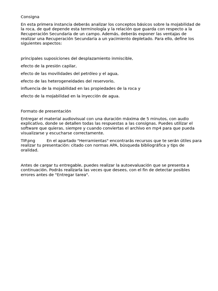 Consigna | PDF
