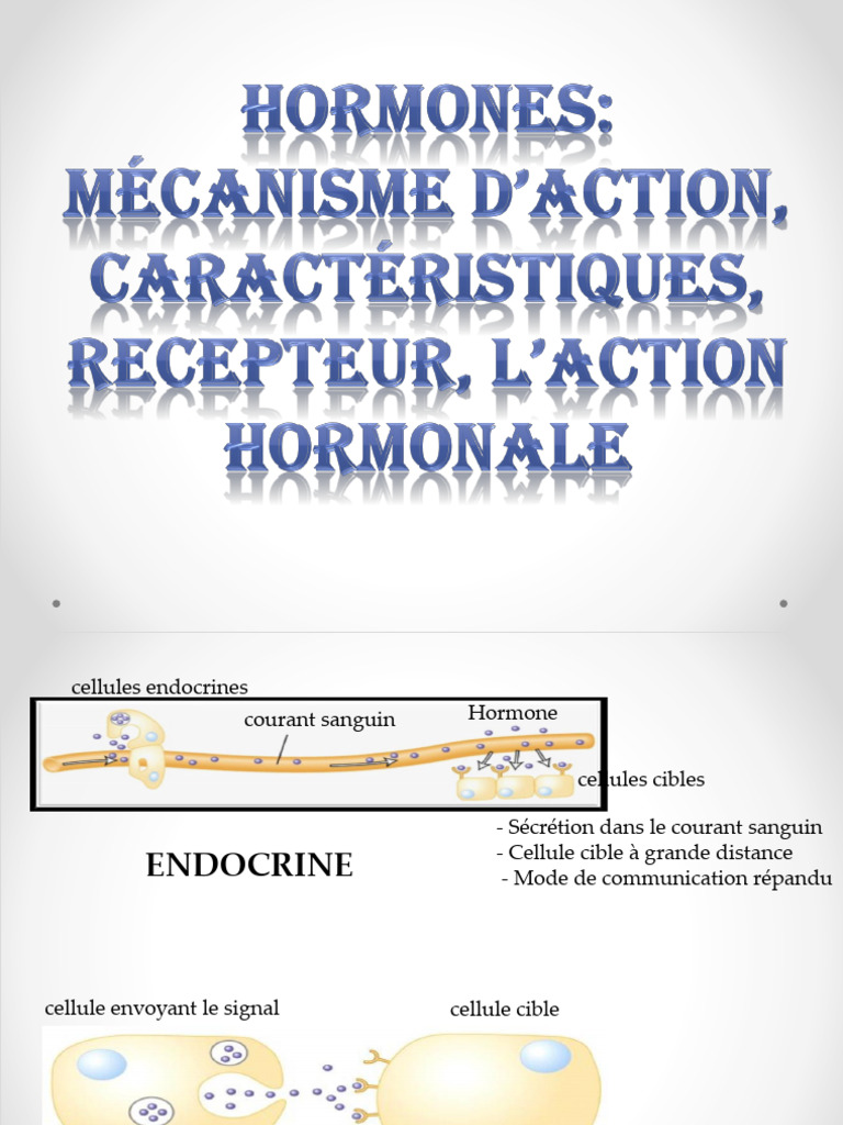 1 Hormones | PDF