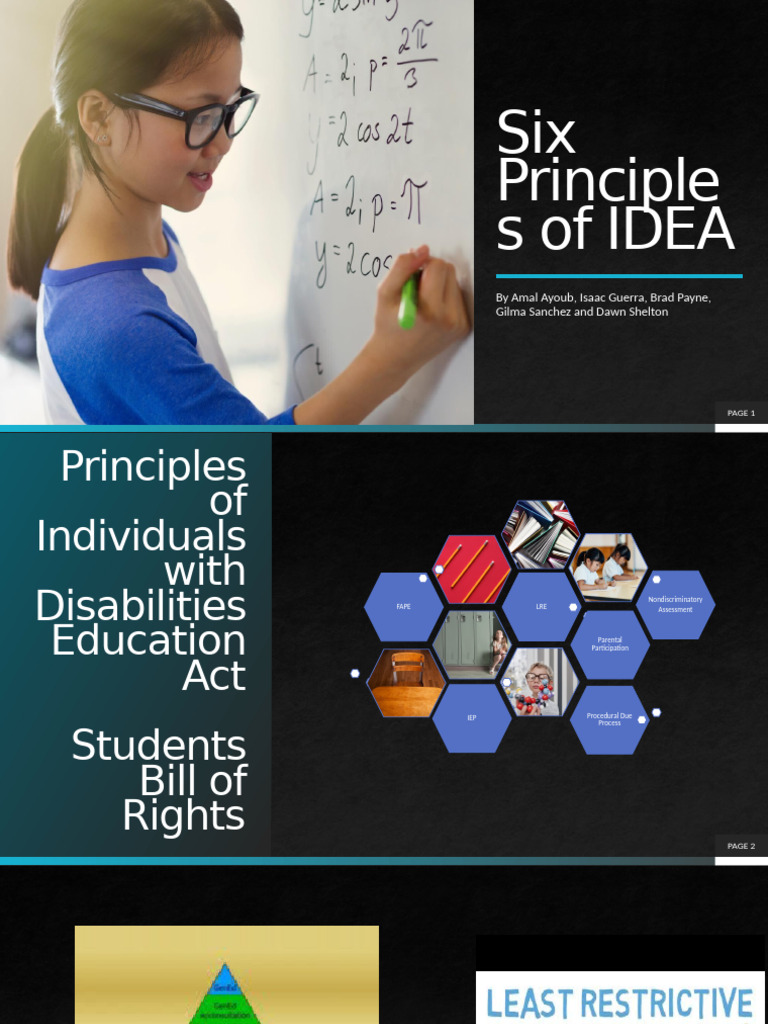 6 Principles of IDEA | PDF