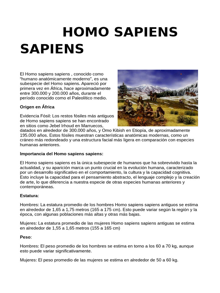 Homo Sapiens Sapiens | PDF
