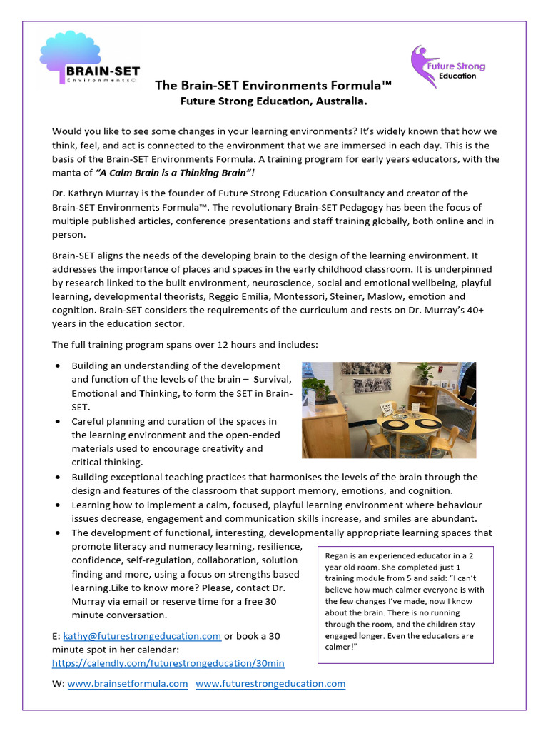 Brain-SET-One-Page | PDF