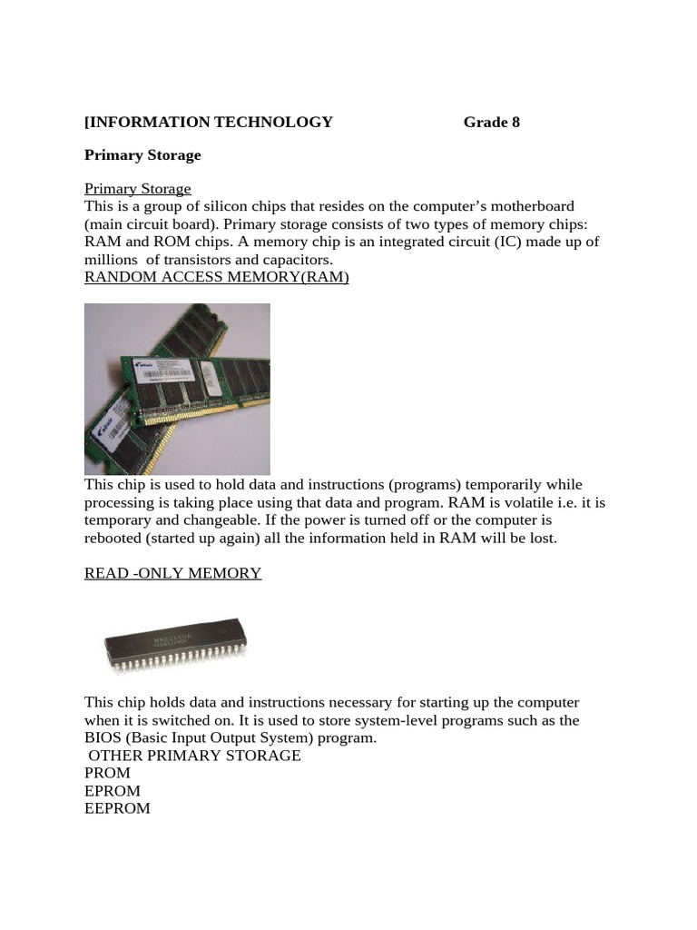 Primary Storage Notes | PDF