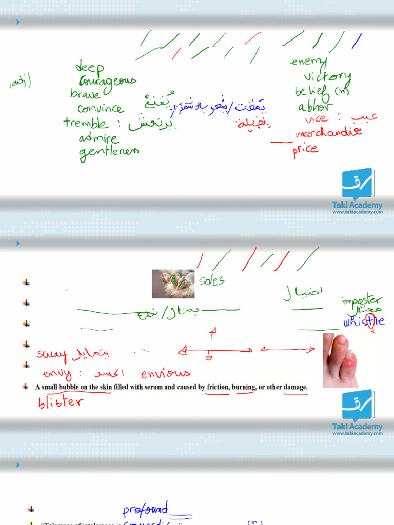 Unit 4 Lesson 2 Attitudes Eng | PDF
