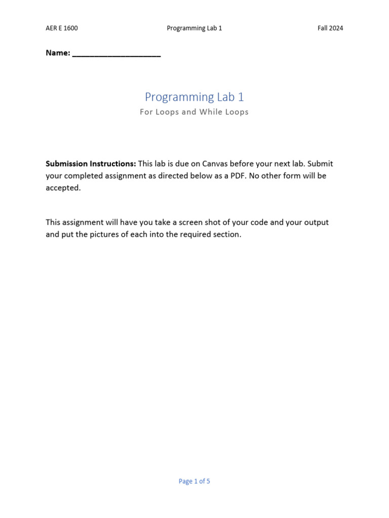 Fall 24 Programming Lab 1 | PDF | Computing | Technology & Engineering