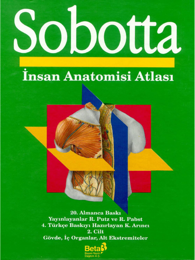 Sobotta - İnsan Anatomisi Atlası (2. Cilt) | PDF