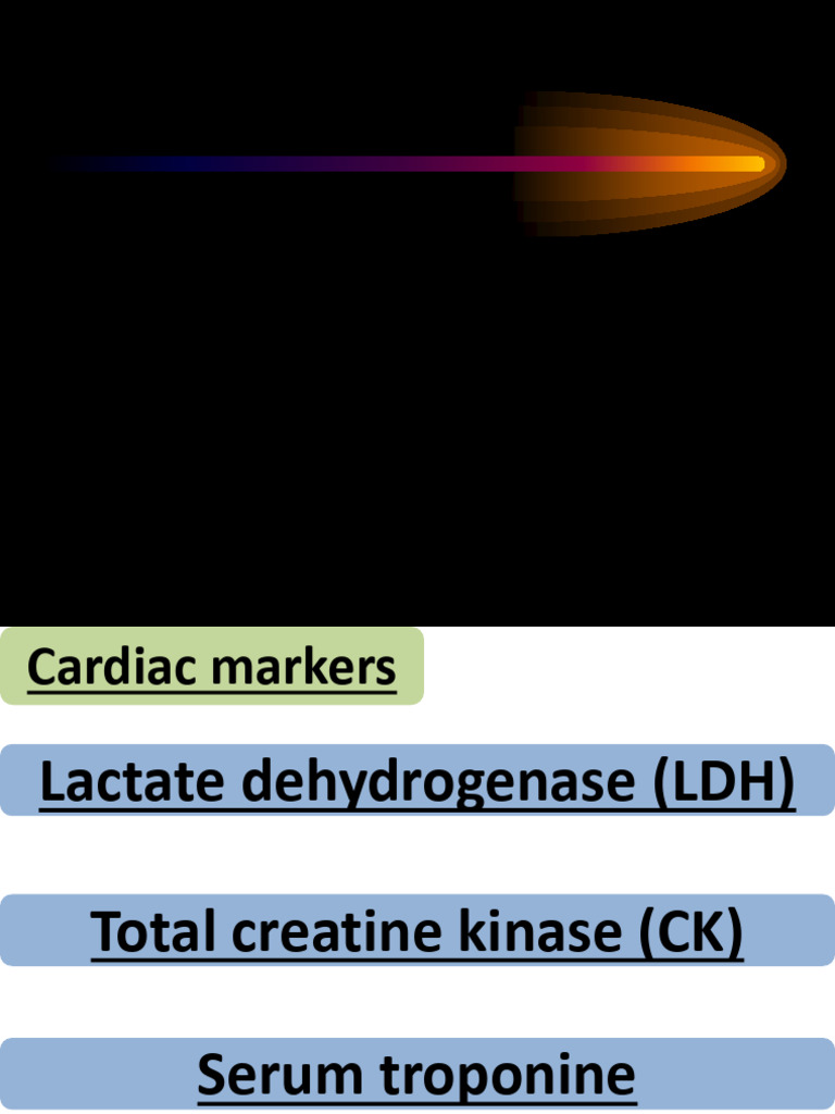 Cardiac Profile | PDF