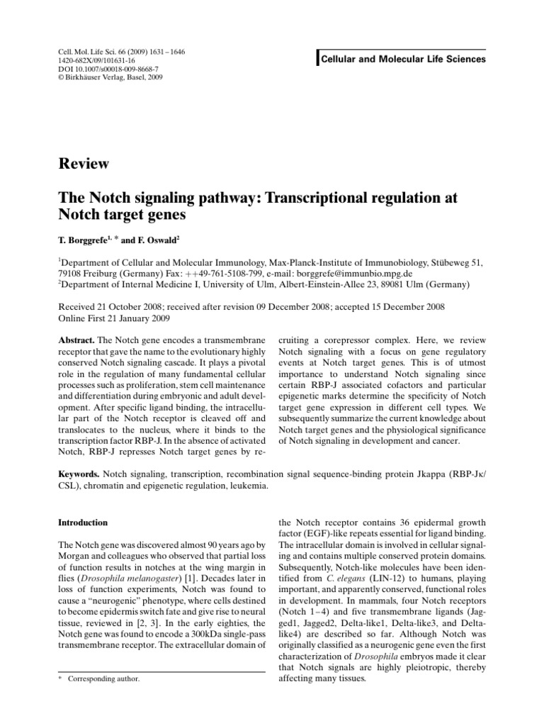 C. The Notch Signaling Pathway | PDF