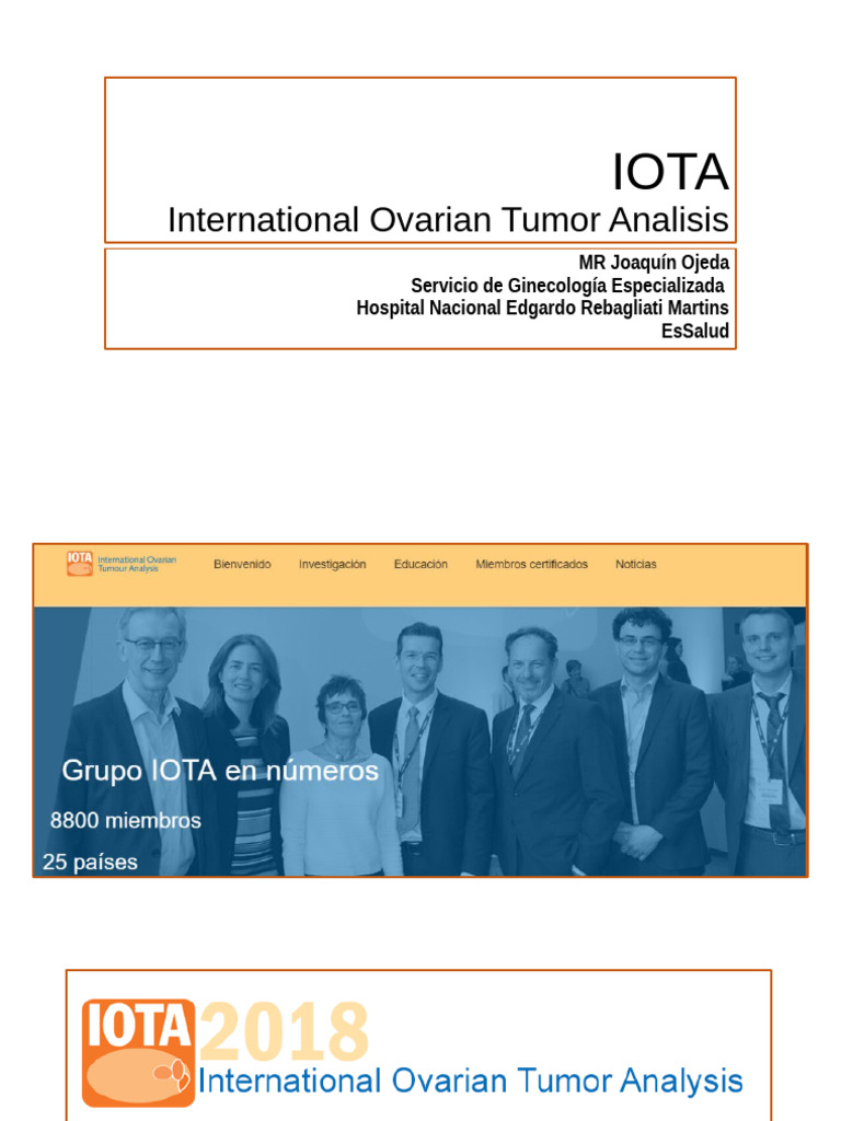 Clasificación Iota (Mr Ojeda) | PDF