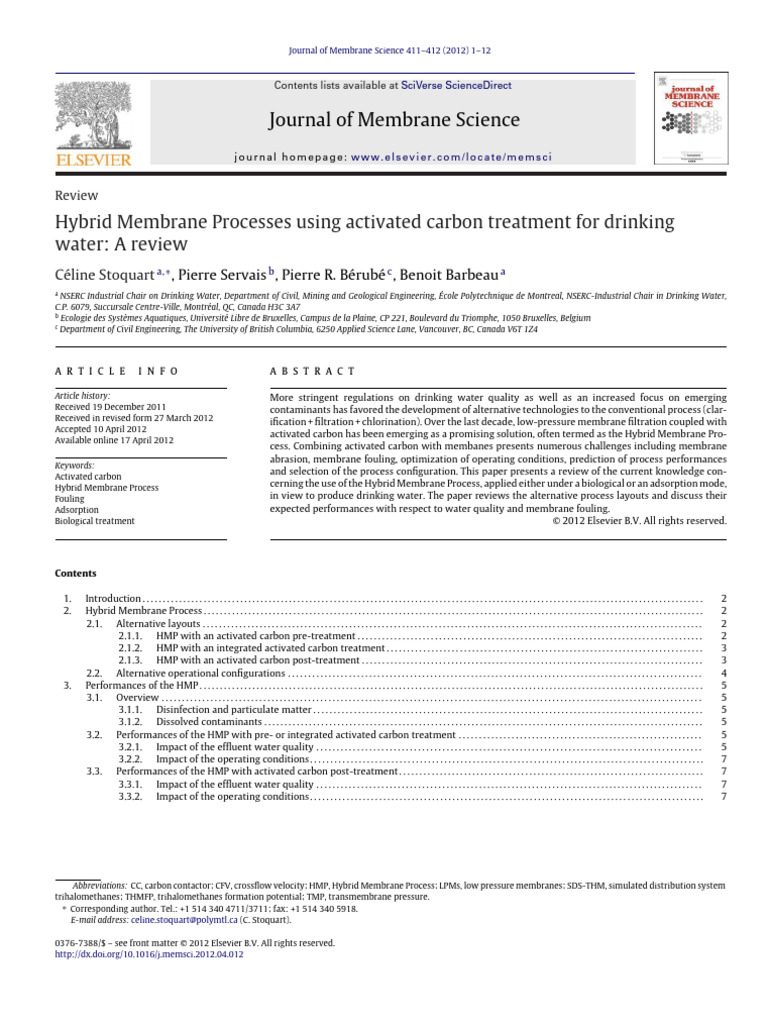Hybrid Membrane Processes Using Activate | PDF