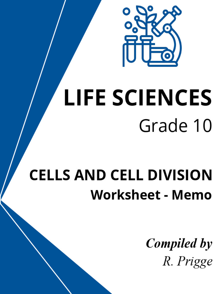 Grade 10 Cell Division Worksheet | PDF | Mitosis | Cell Biology