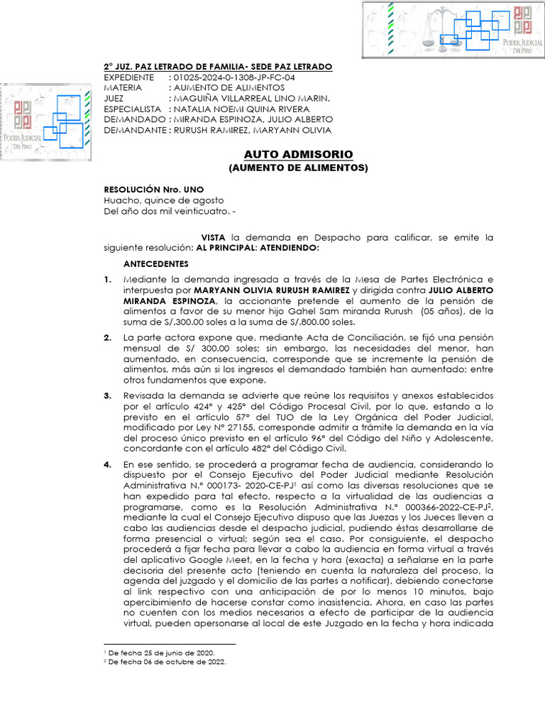 Auto Admisorio de Demanda de Aumento de Pensión de Alimentos 1025-2024 ...