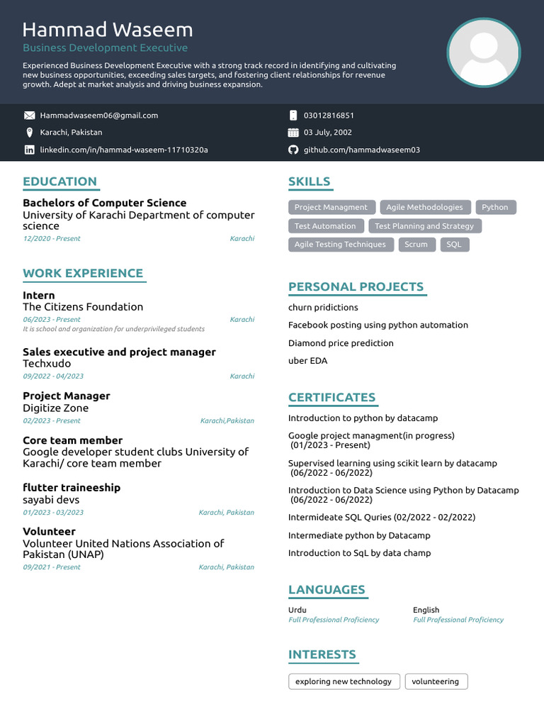 Hammad's Resume BDE | PDF