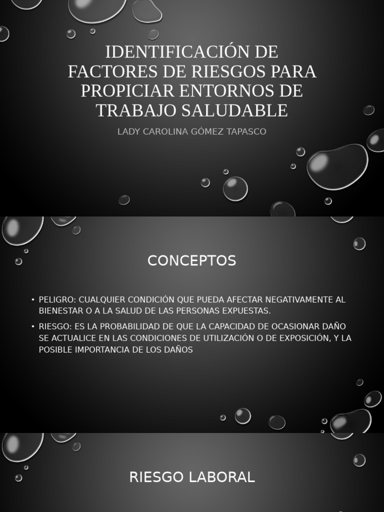 Identificación de Factores de Riesgos para Propiciar Entornos | PDF