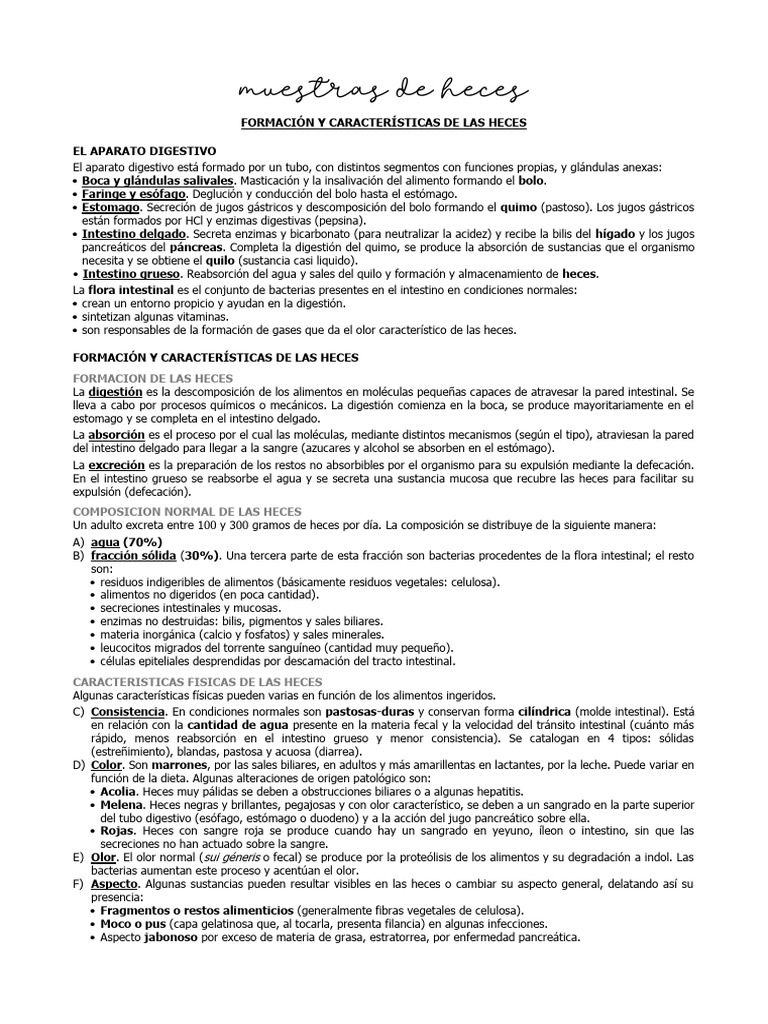 Formación y Análisis de Heces | PDF | Digestión | Salud y bienestar