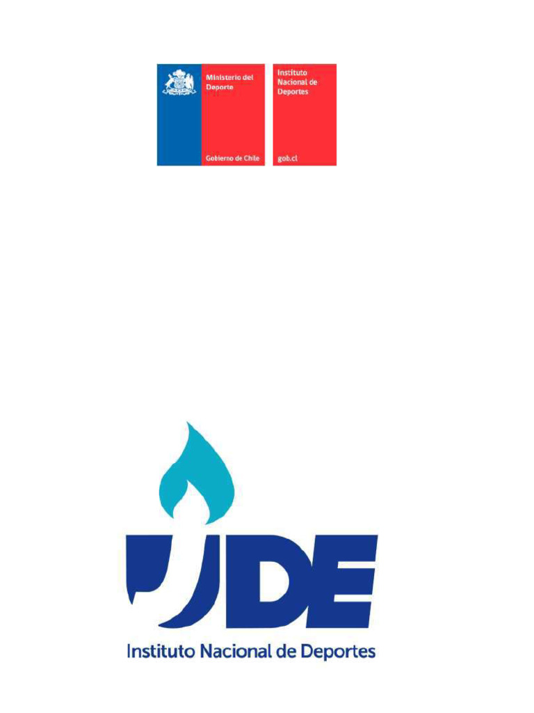 Bases Administrativas JDE 2024 | PDF