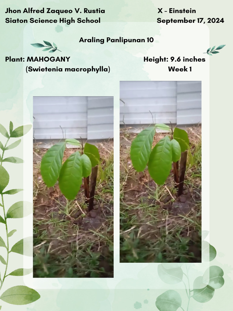 AP Tree Planting | PDF