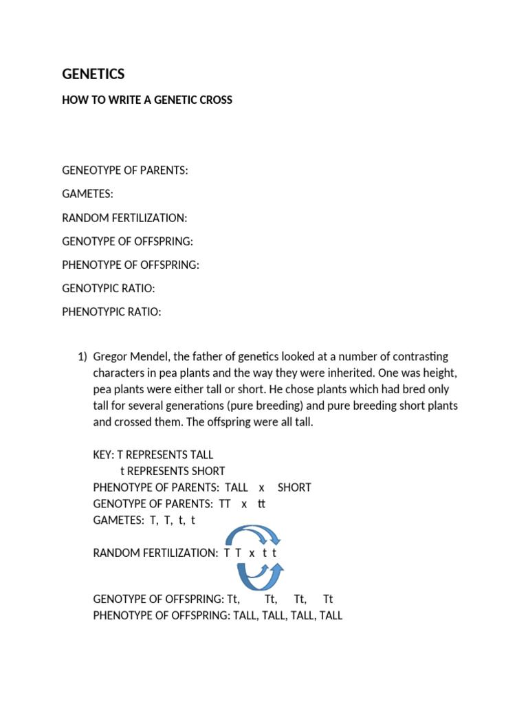 GENETICS Form 6 | PDF