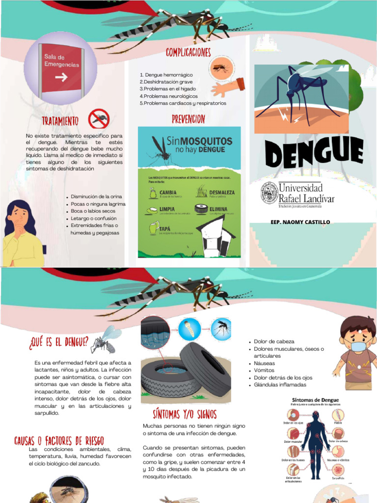 trifoliar dengue (Trípticos) | PDF