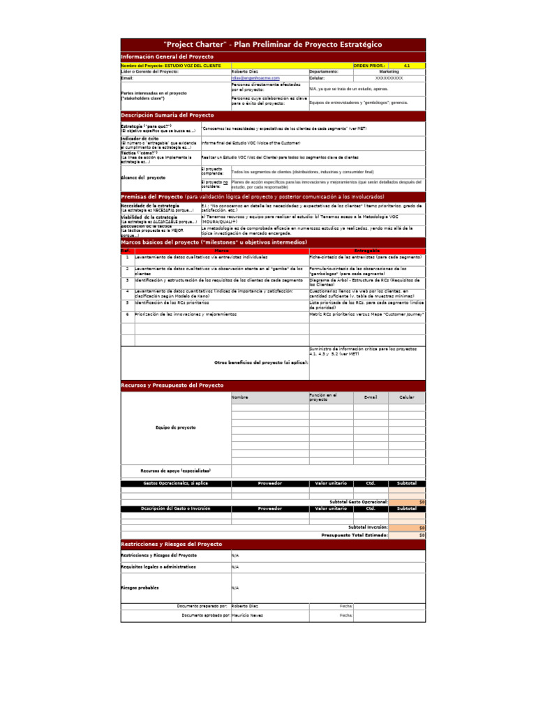 05 - Ejemplo Plan Acción-Estudio VOC-Formato Resolve - Guru | PDF