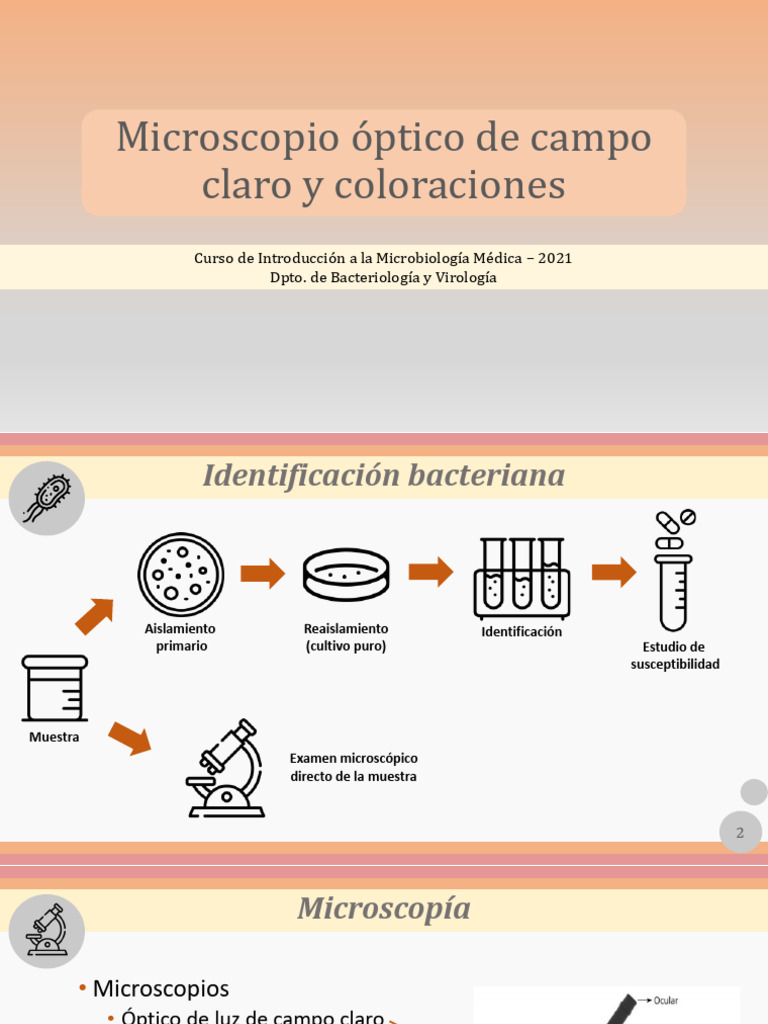 Micros | PDF