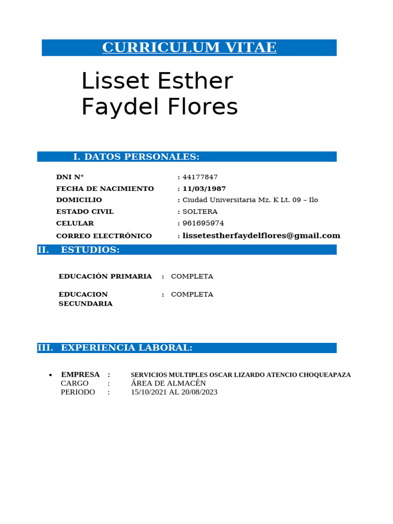 Curriculum[1] Lisset | PDF