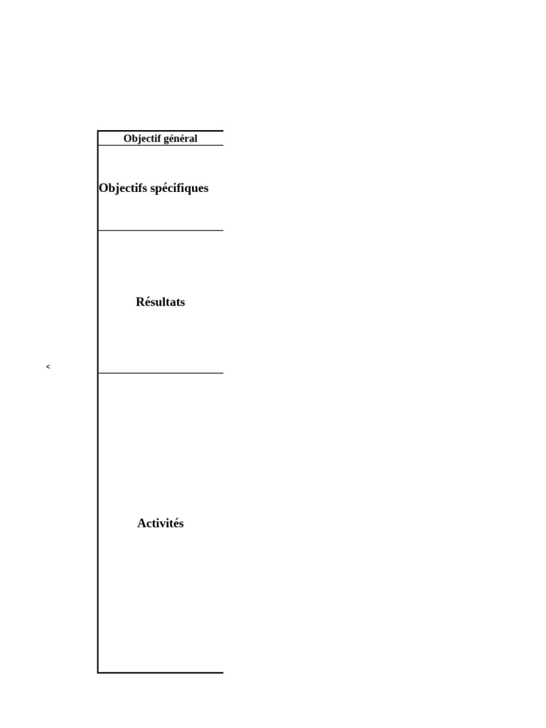 Plan D'action Ngouri - Chronogramme D'activité - Cadre Logique | PDF