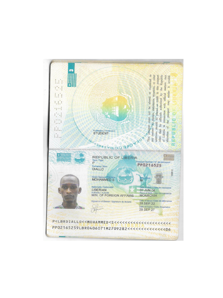 Passport | PDF