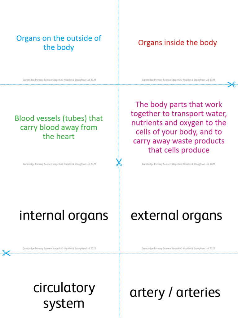 Unit 1 - Flashcards | PDF