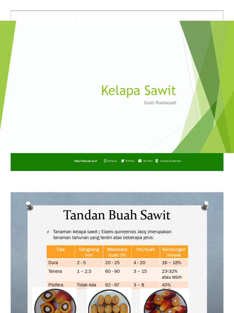 Alsintan Sawit - GTR | PDF