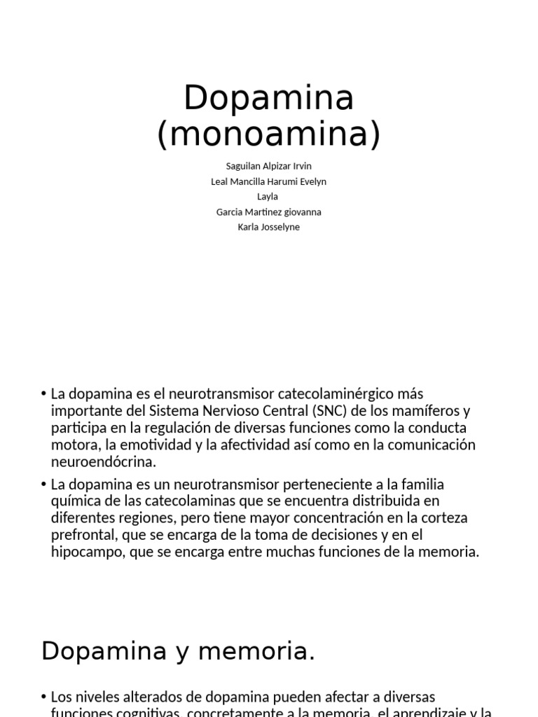 Presentación 17 | PDF