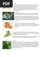 Experimento Tinta Invisible Con Curcuma - 20250203 - 094212 - 0000 ...